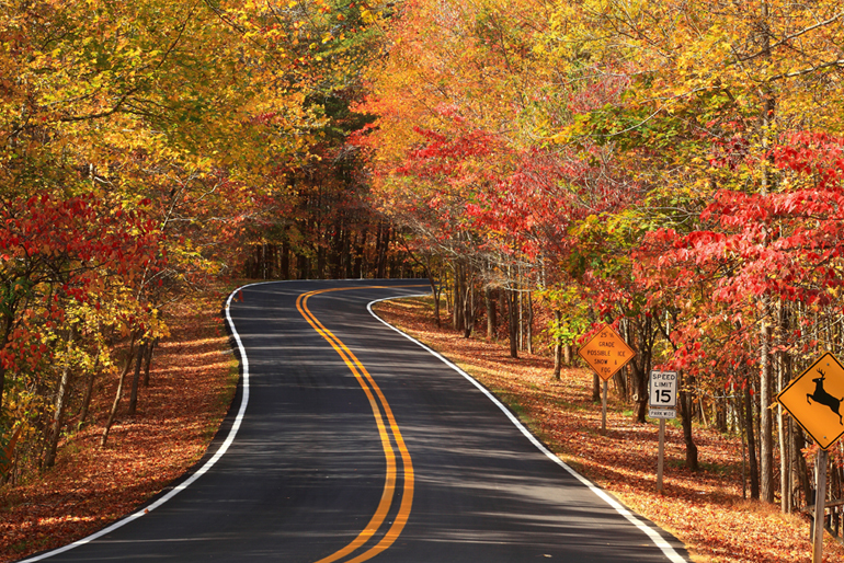 Coast to Coast Motorcycle Trip | EagleRider